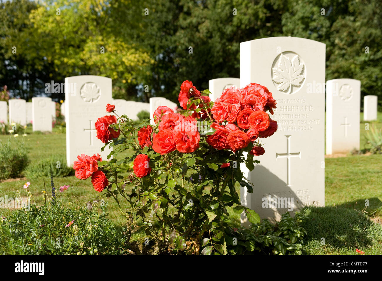 Commonwealth war graves commision cemetery hi-res stock photography and ...