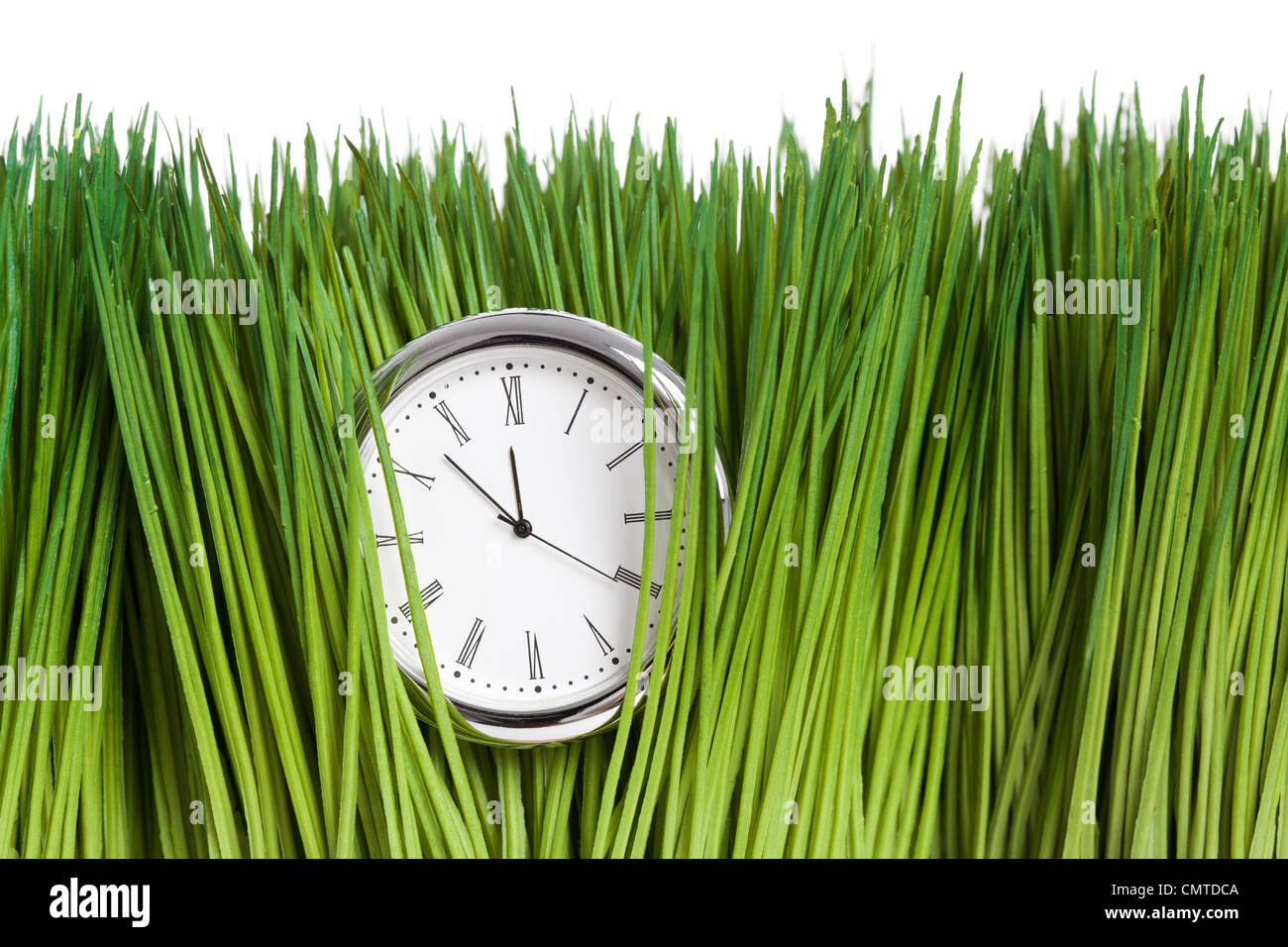 Grass clock hi-res stock photography and images - Alamy