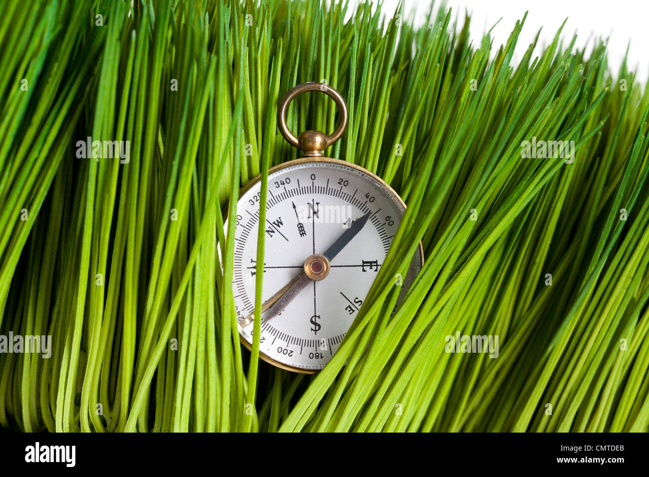 Compass green hi-res stock photography and images - Alamy