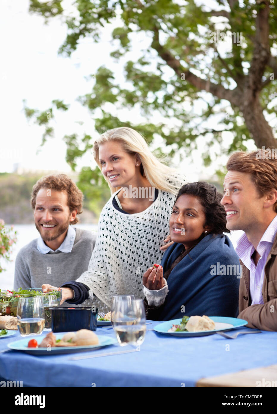 Friends at dinner Stock Photo - Alamy