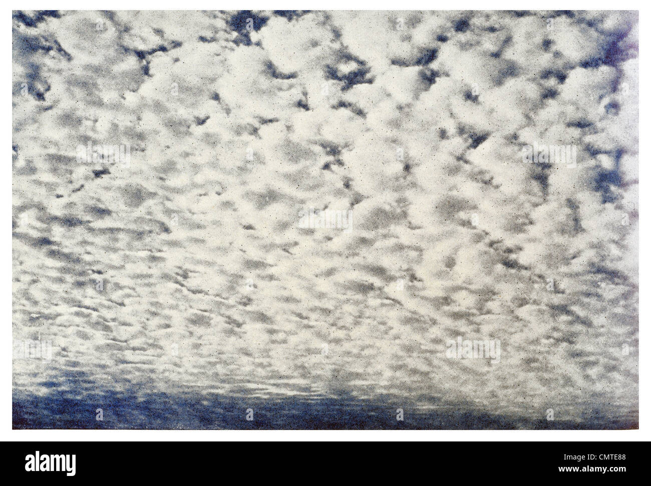 Real alto hi-res stock photography and images - Alamy