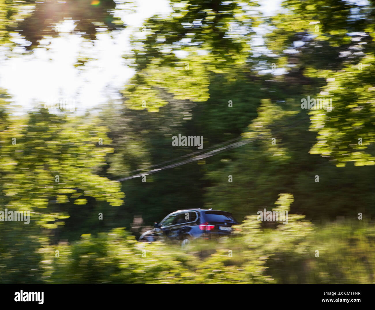 Car driving in forest Stock Photo - Alamy