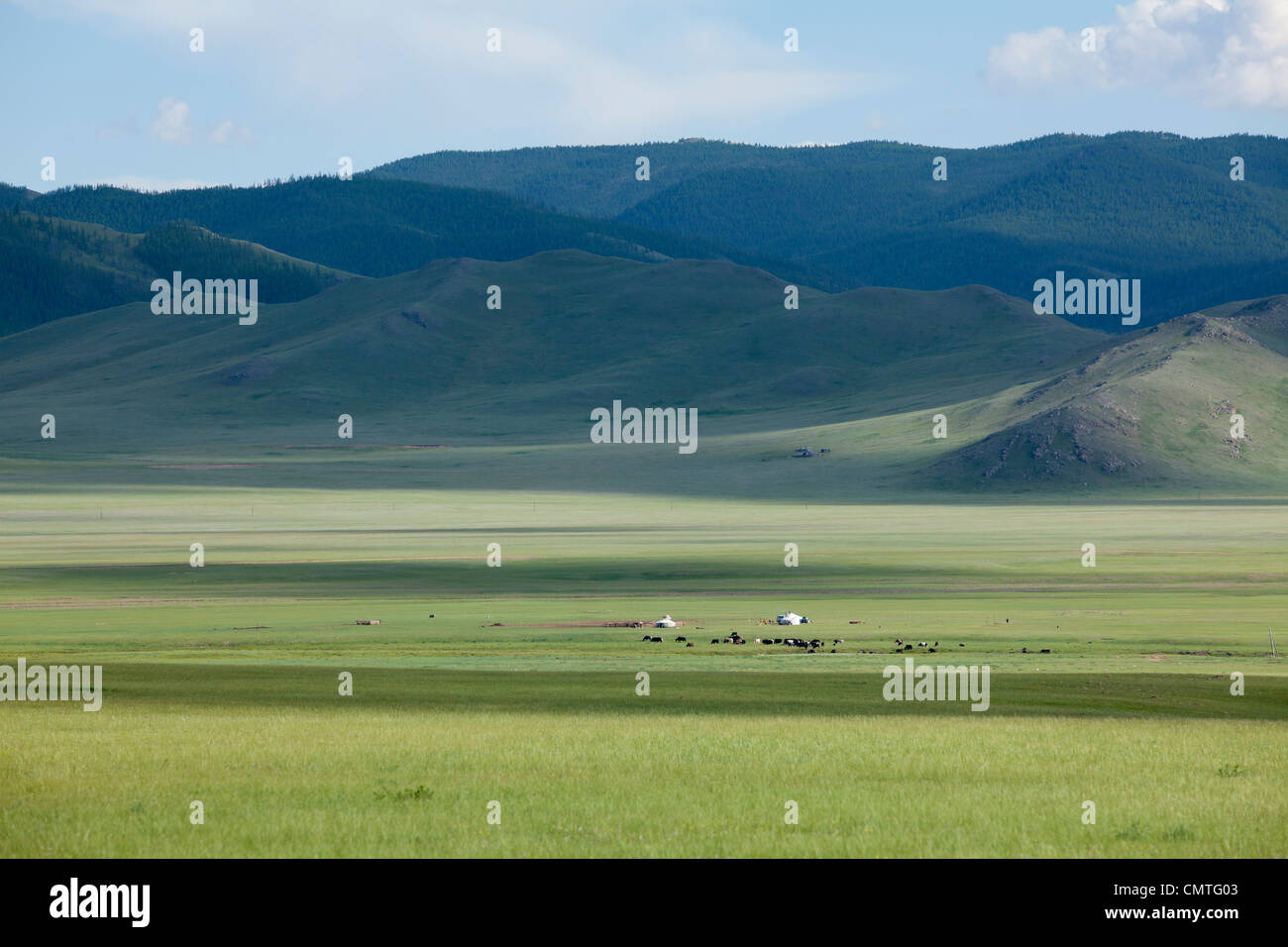 Mongolia steppe hi-res stock photography and images - Alamy