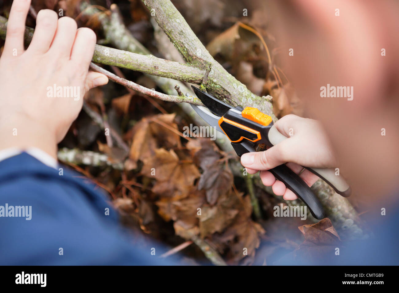 High angle view of human hand cutting twig Stock Photo - Alamy