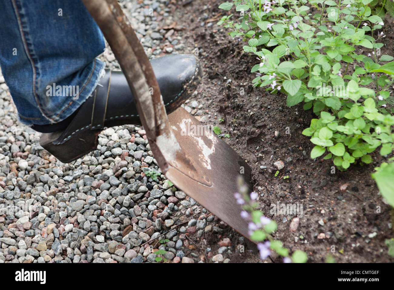 Person digging with spade Stock Photo - Alamy