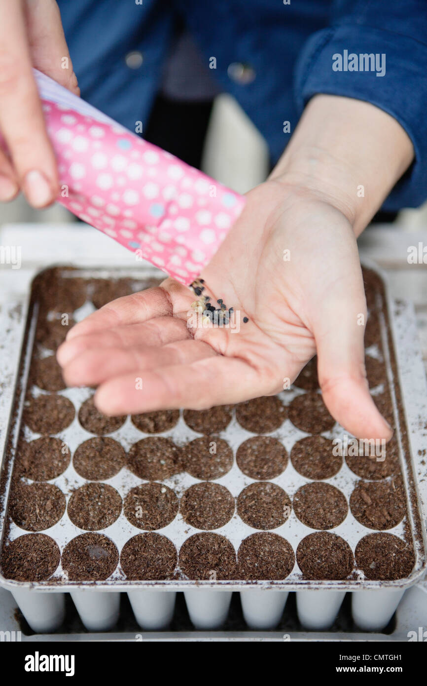 Man pouring seeds from paper bag to hand Stock Photo - Alamy
