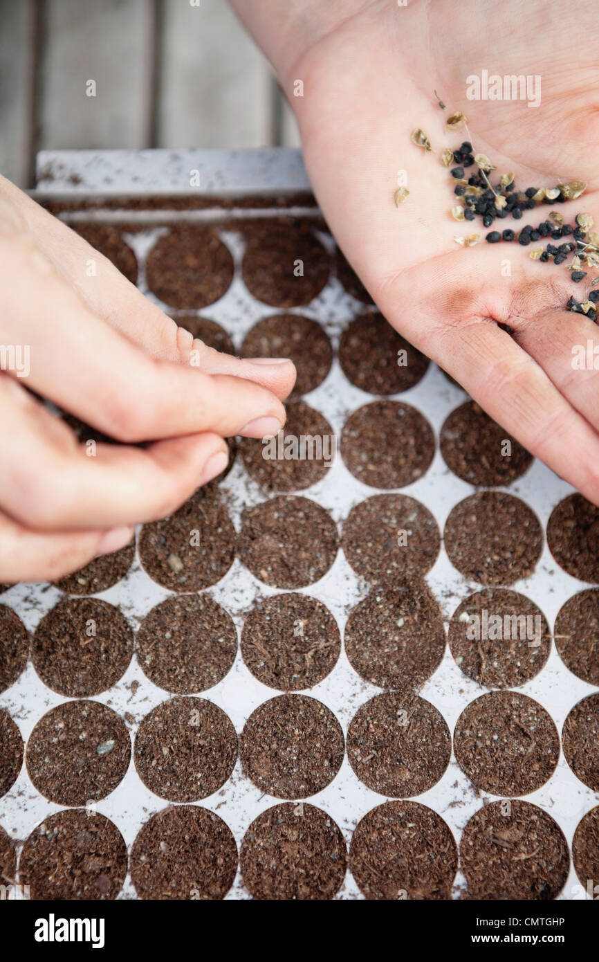Sowing seed man hi-res stock photography and images - Alamy