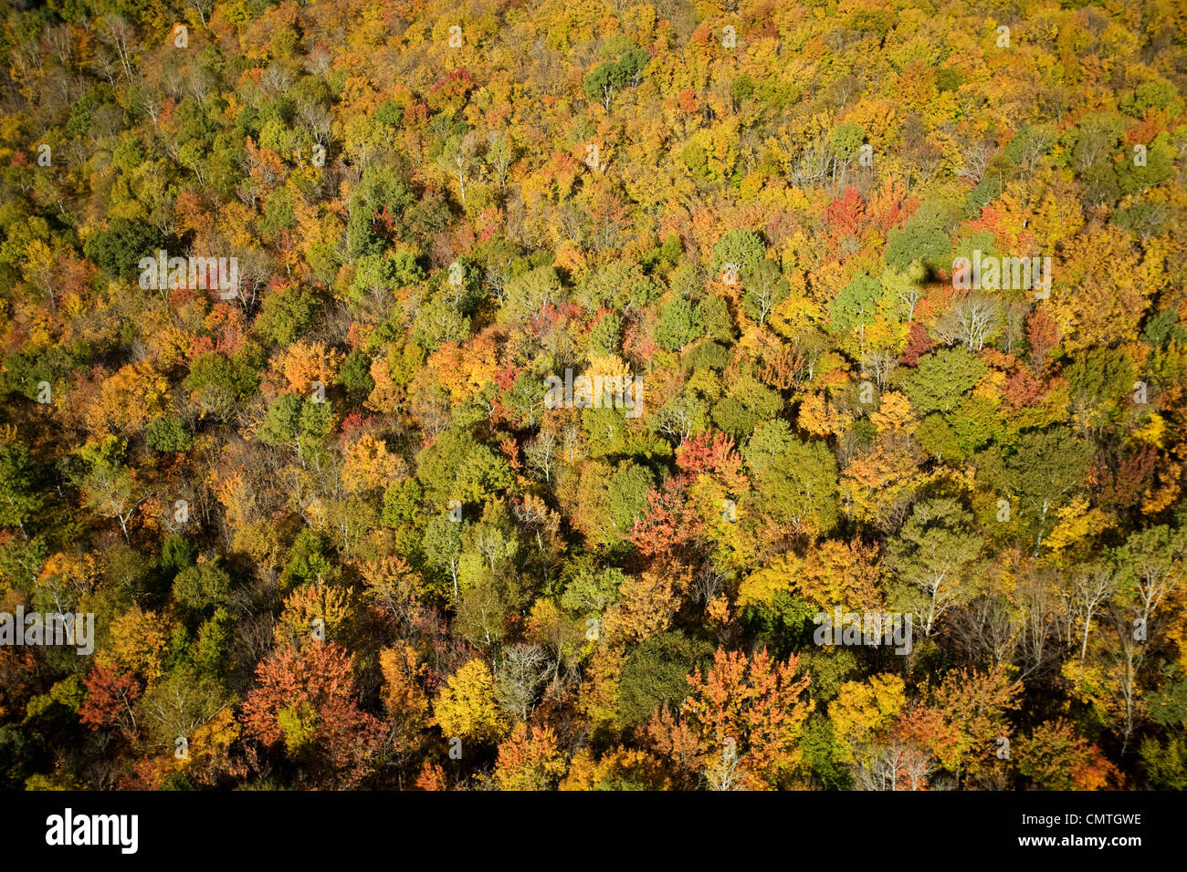 Aerial view fall leaves hi-res stock photography and images - Alamy
