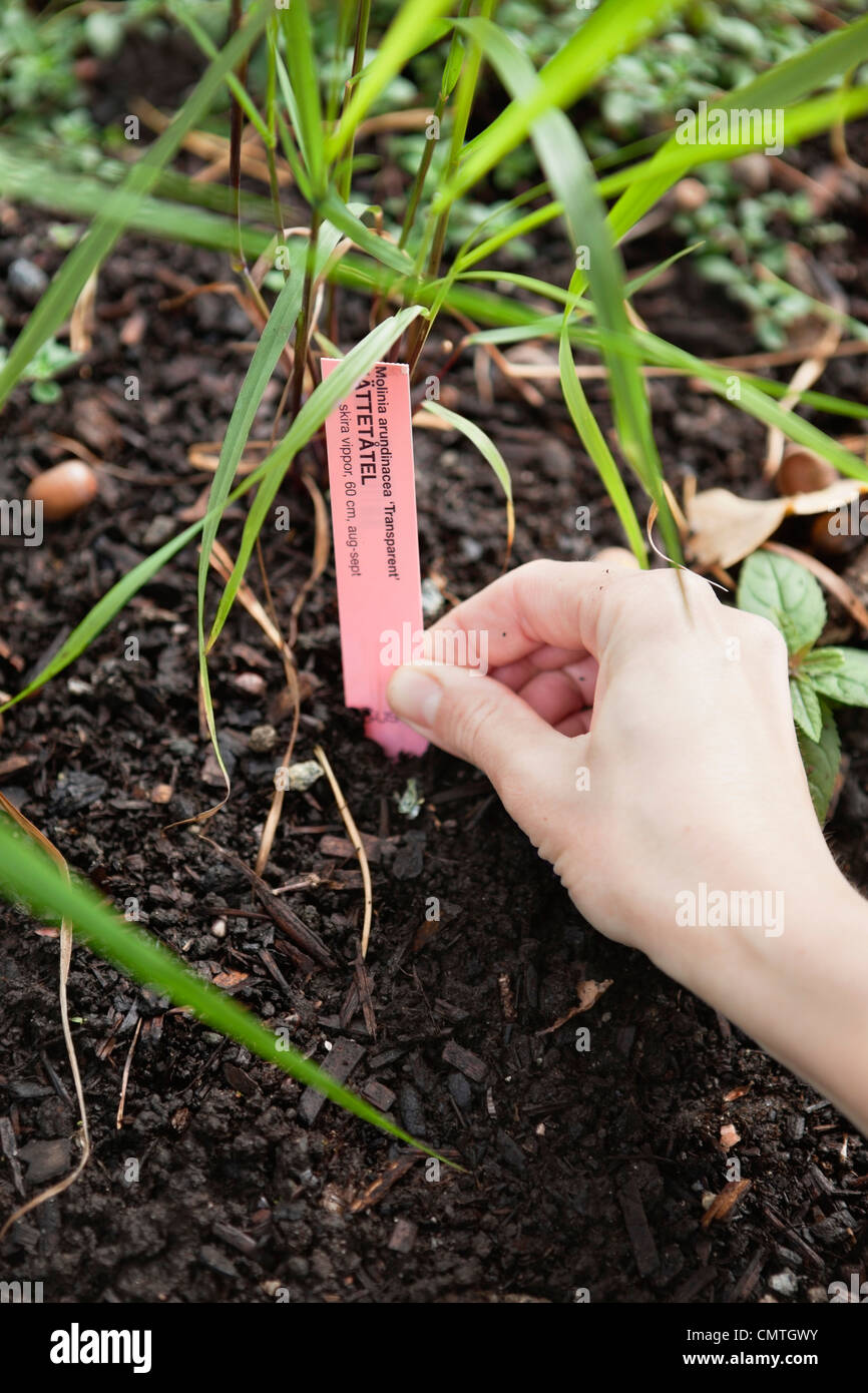 Hand holding sign for plant Stock Photo - Alamy