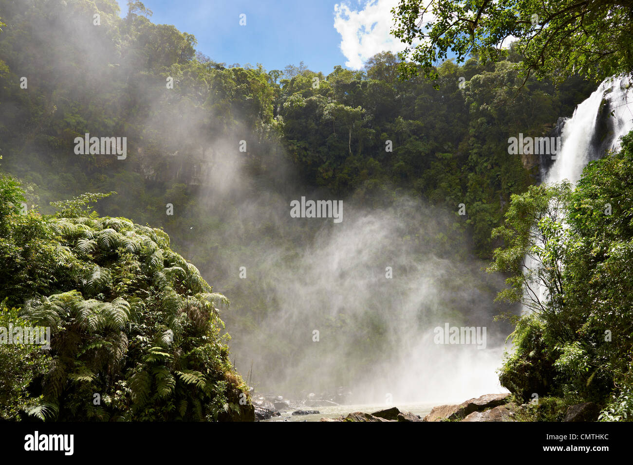 Waterfall in the Atlantic Rainforest Stock Photo - Alamy