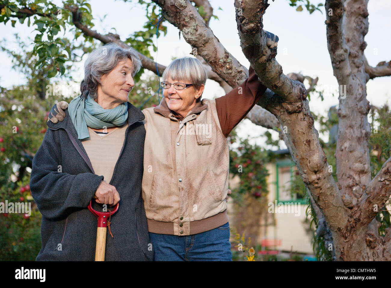 Two senior women looking at each other Stock Photo - Alamy