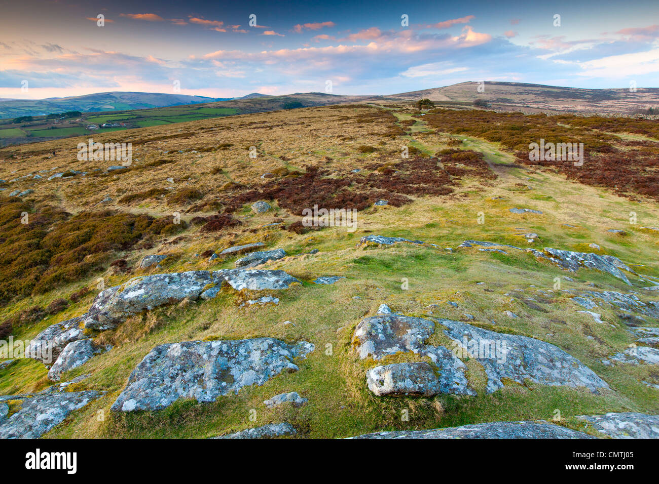 Buckland In The Moor High Resolution Stock Photography and Images - Alamy