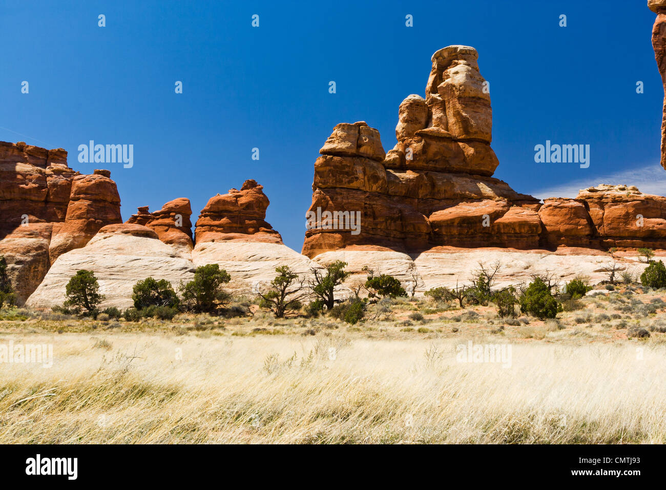 Desert landscape scene in Canyonlands National Park, Utah USA Stock ...