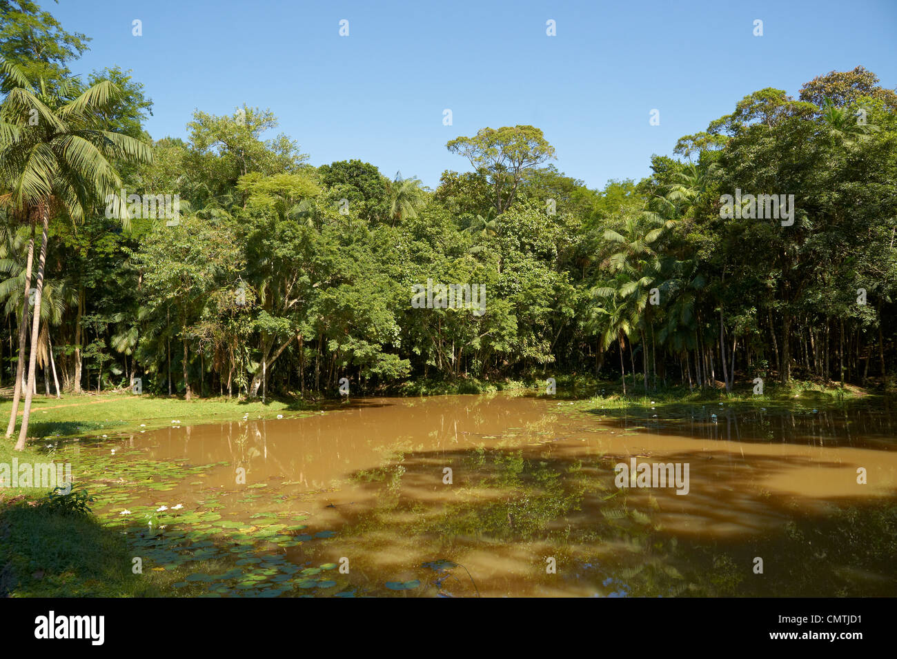 Atlantic pond hi-res stock photography and images - Alamy