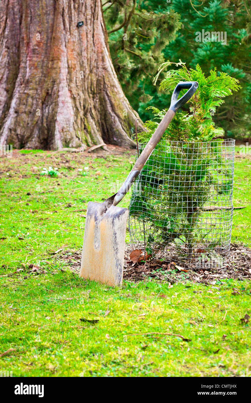 A garden spade Stock Photo - Alamy