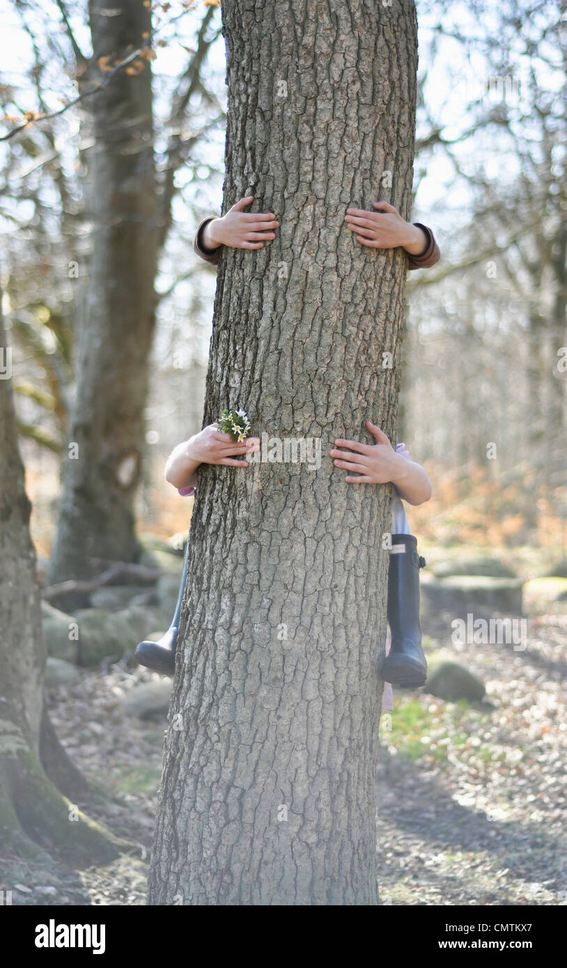 Trunk Image High Resolution Stock Photography and Images - Alamy