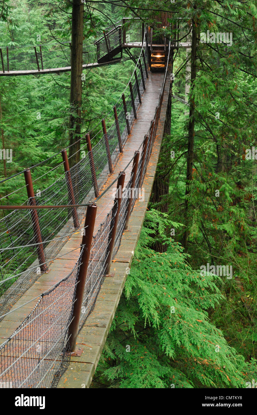 Treetops Adventure walkway at the Capilano Suspension Bridge, Vancouver ...