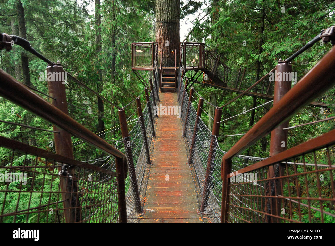 Treetops Adventure walkway at the Capilano Suspension Bridge, Vancouver ...