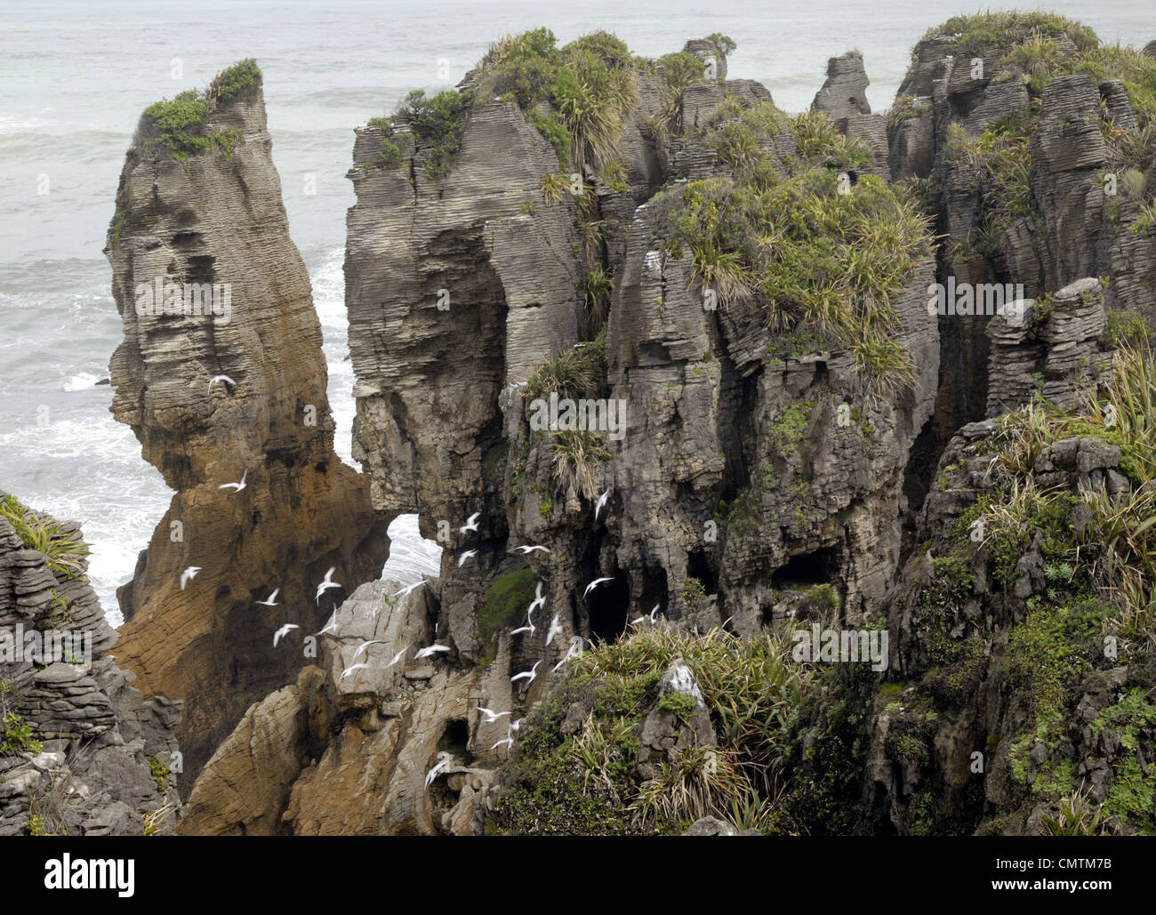 Pancake Rocks, Punakaiki, New Zealand Stock Photo - Alamy