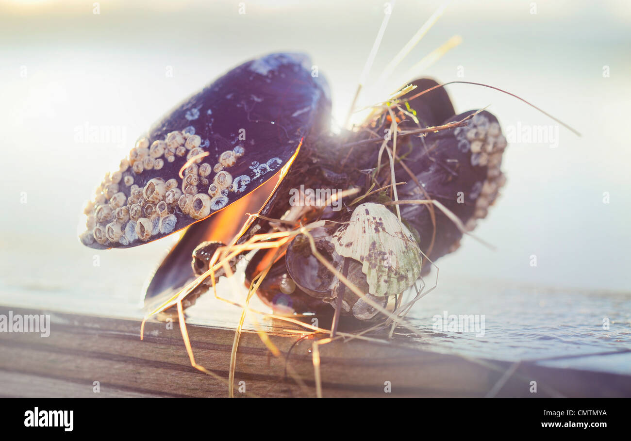 The Filthy High Resolution Stock Photography and Images - Alamy