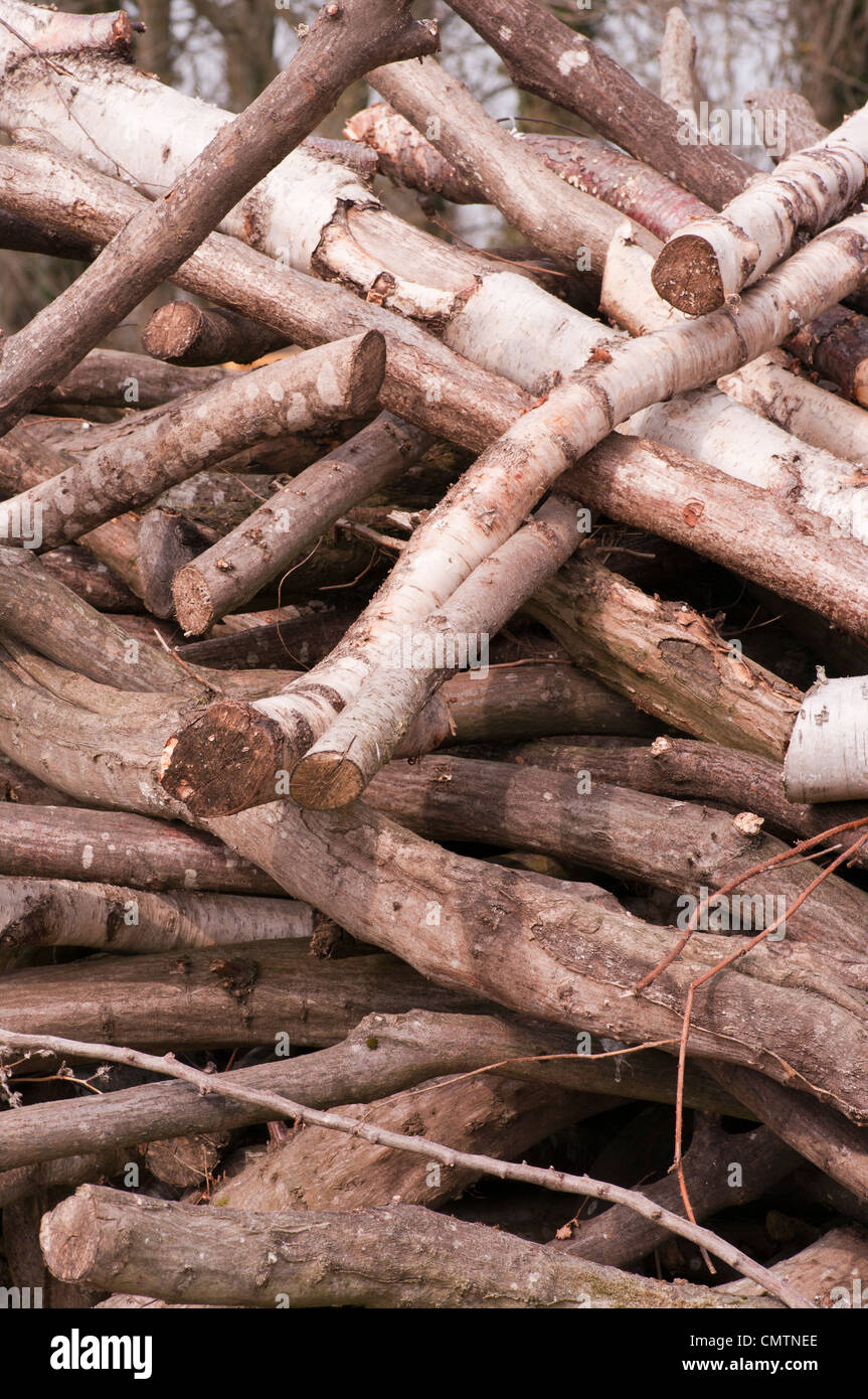 Pile of branches hi-res stock photography and images - Alamy