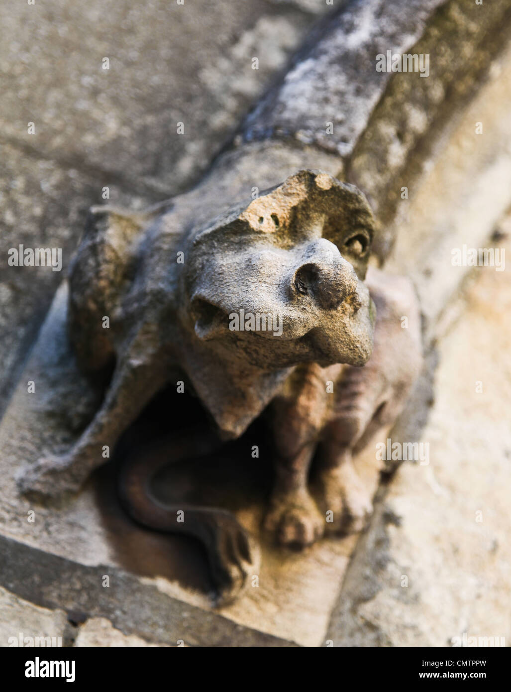 Gargoyle showing signs of age at Lincoln Cathedral Stock Photo - Alamy