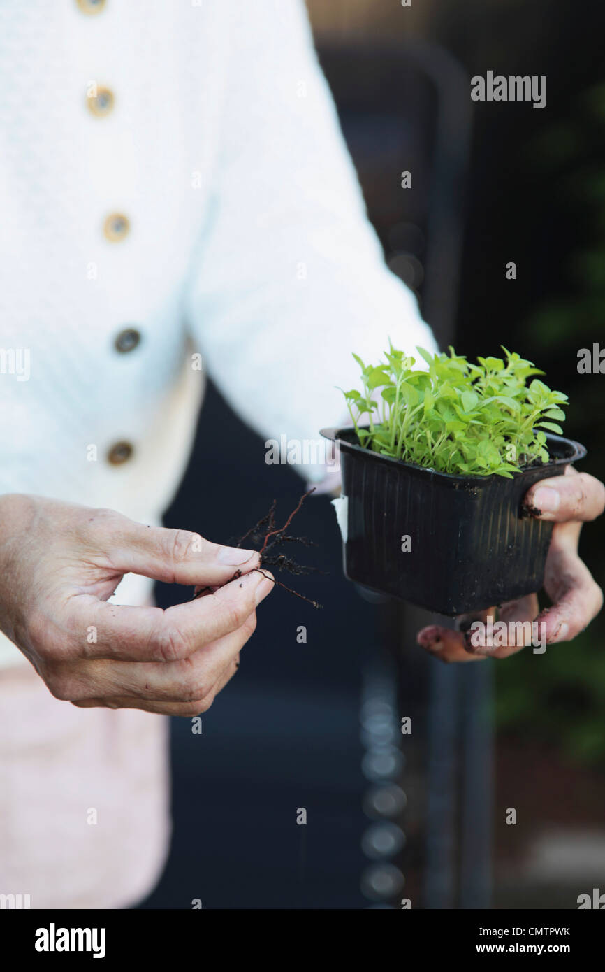 Hand with plant hi-res stock photography and images - Alamy