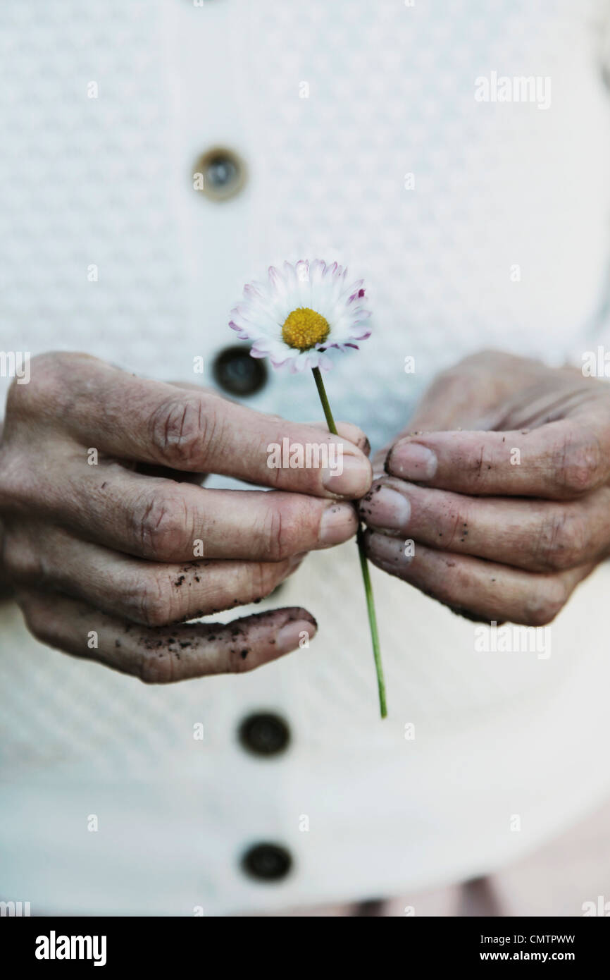 Selective Focus One Flower High Resolution Stock Photography and Images ...