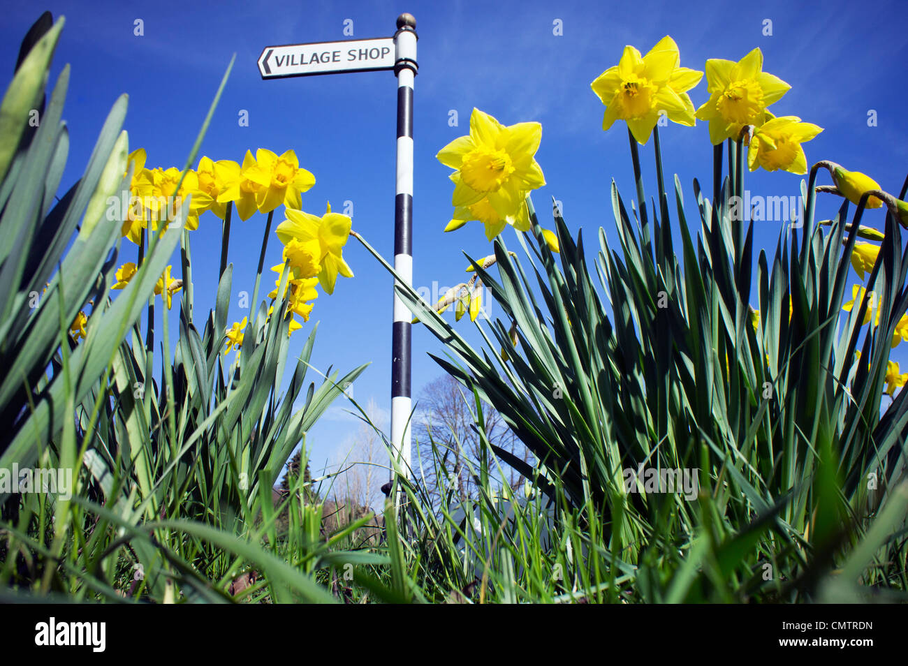 Sign for Village Shop in Baslow, Derbyshire in Spring Stock Photo - Alamy
