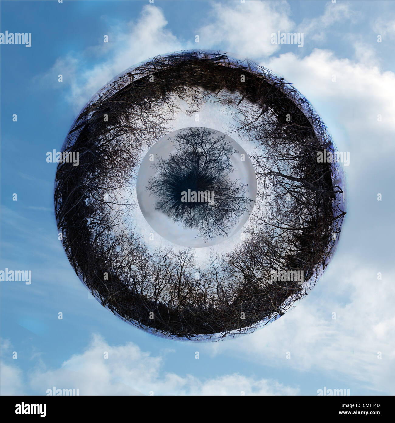 The eye of the tree hi-res stock photography and images - Alamy