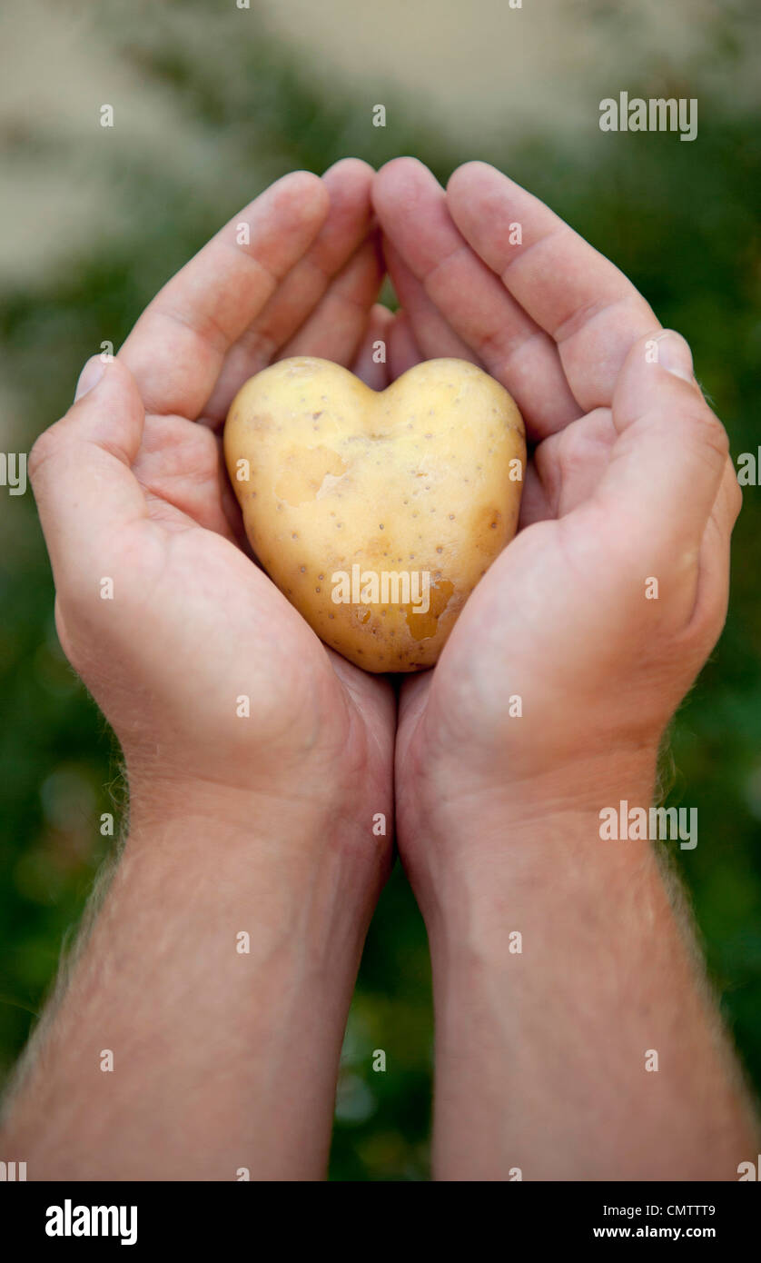 Holding potato hi-res stock photography and images - Alamy