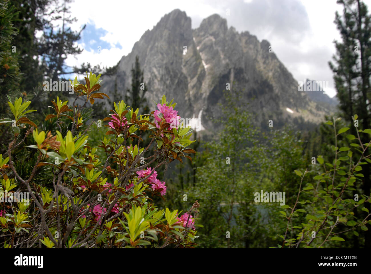 View in the Pyranees mountains Stock Photo - Alamy