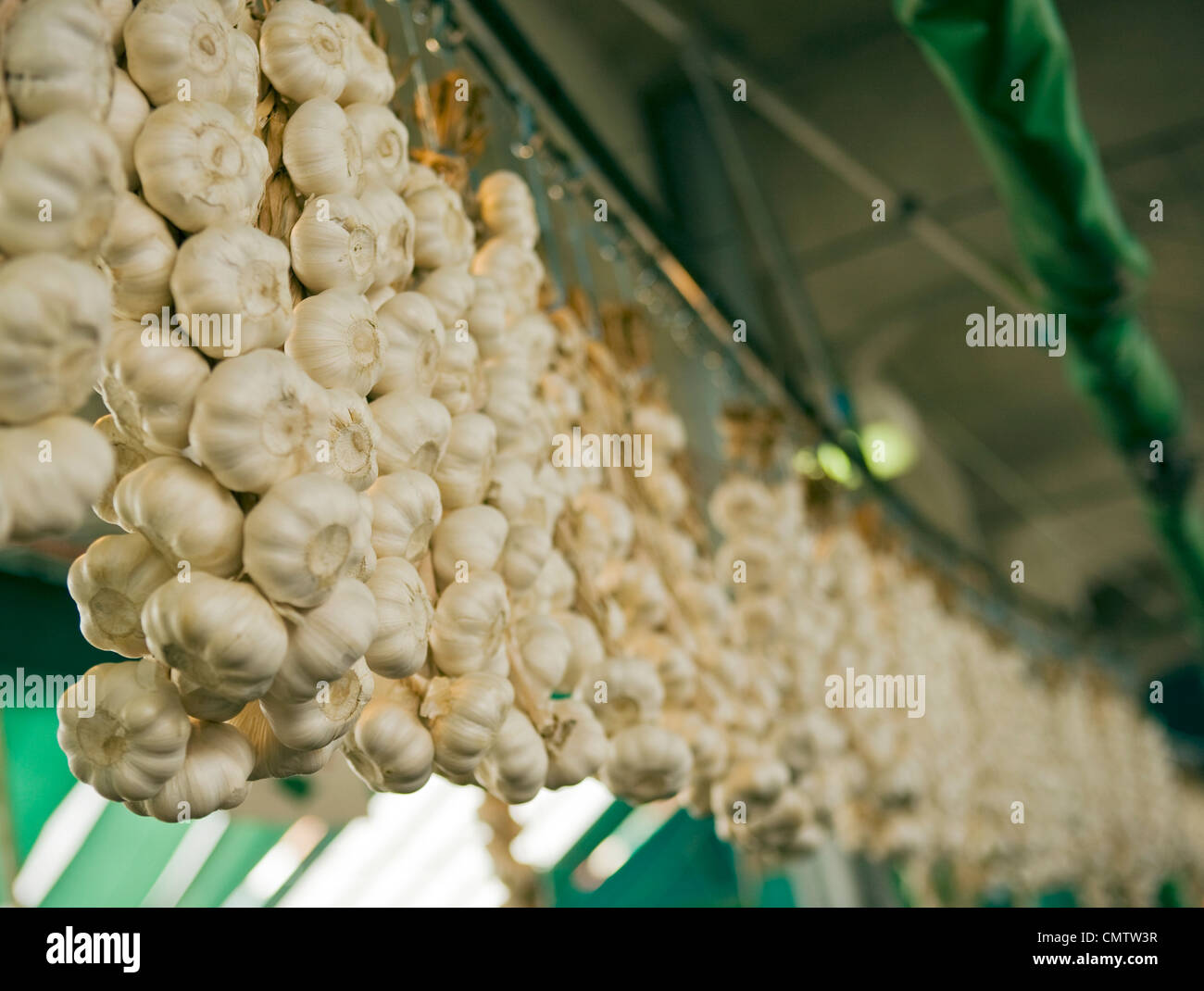 Quebec garlic hi-res stock photography and images - Alamy