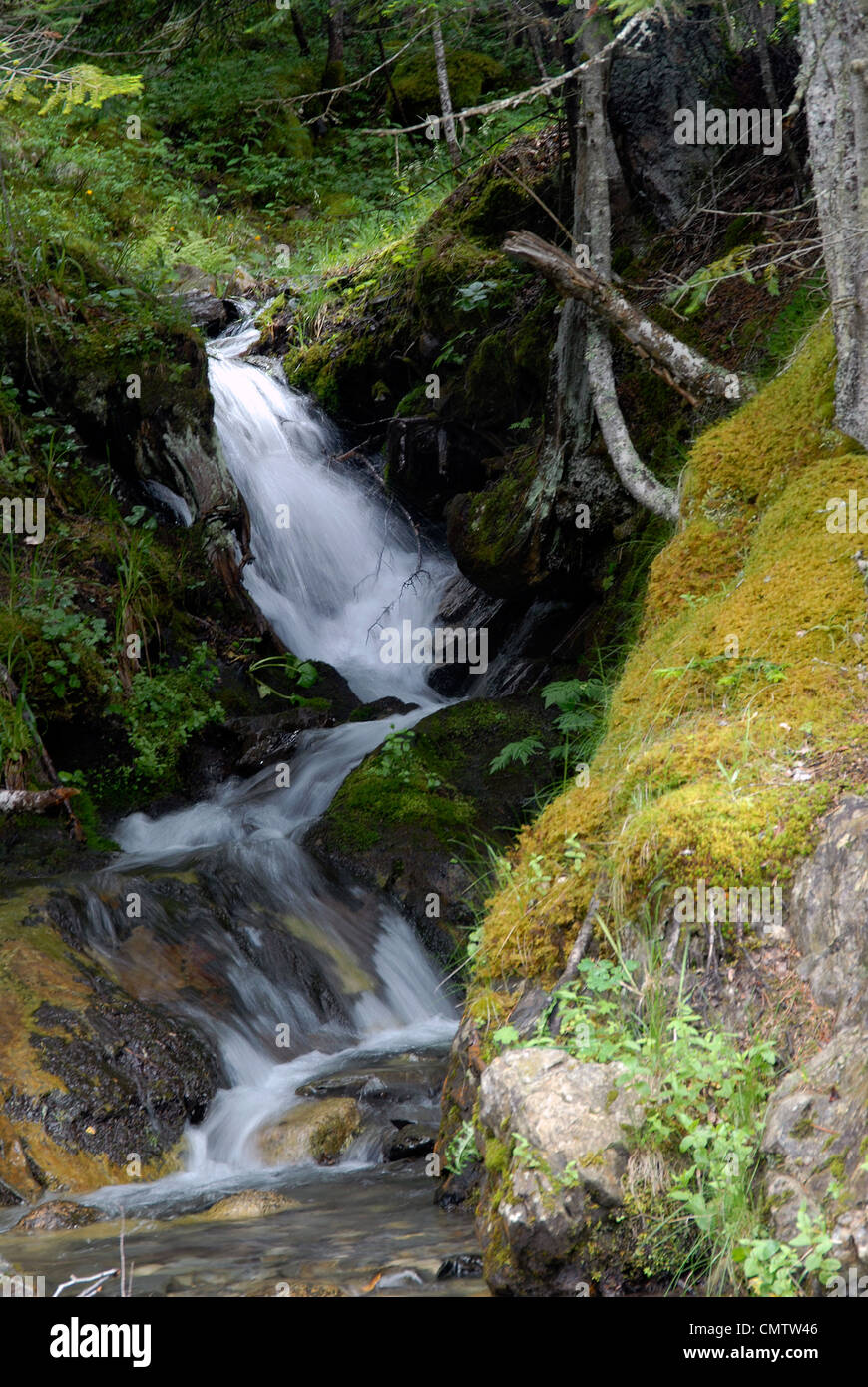 View in the Pyranees mountains Stock Photo - Alamy