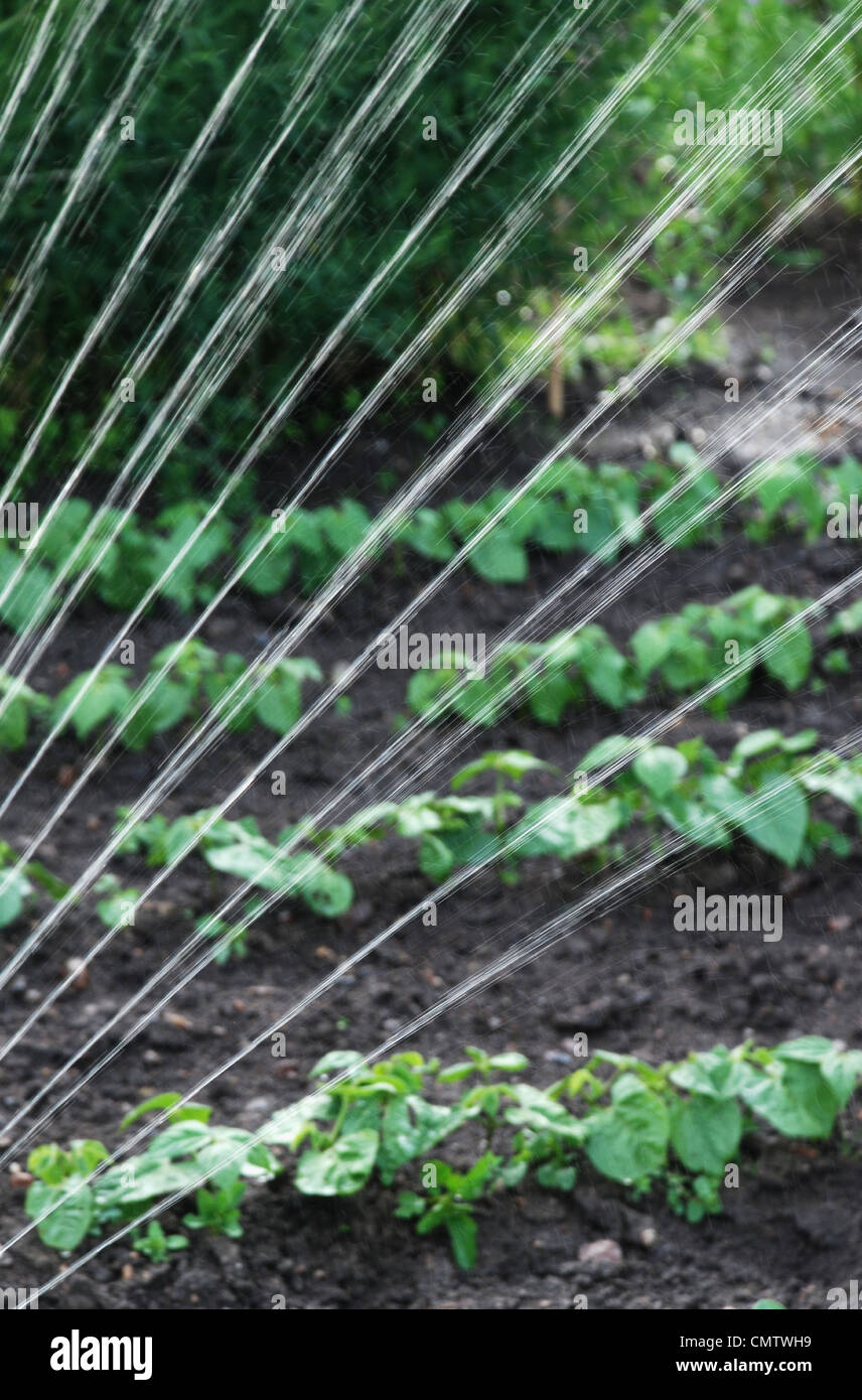Field Spray High Resolution Stock Photography and Images - Alamy
