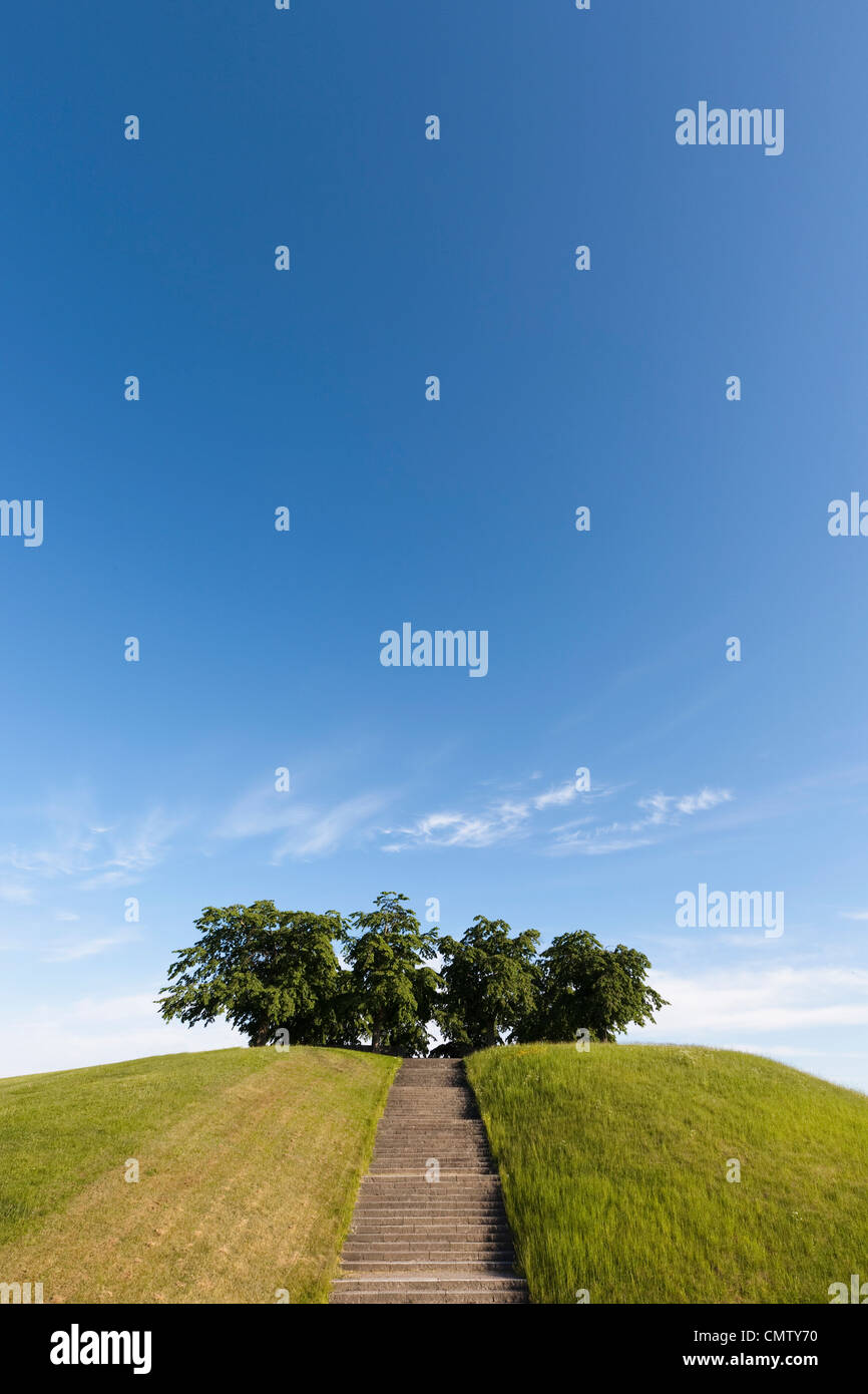 Low Trees High Resolution Stock Photography and Images - Alamy