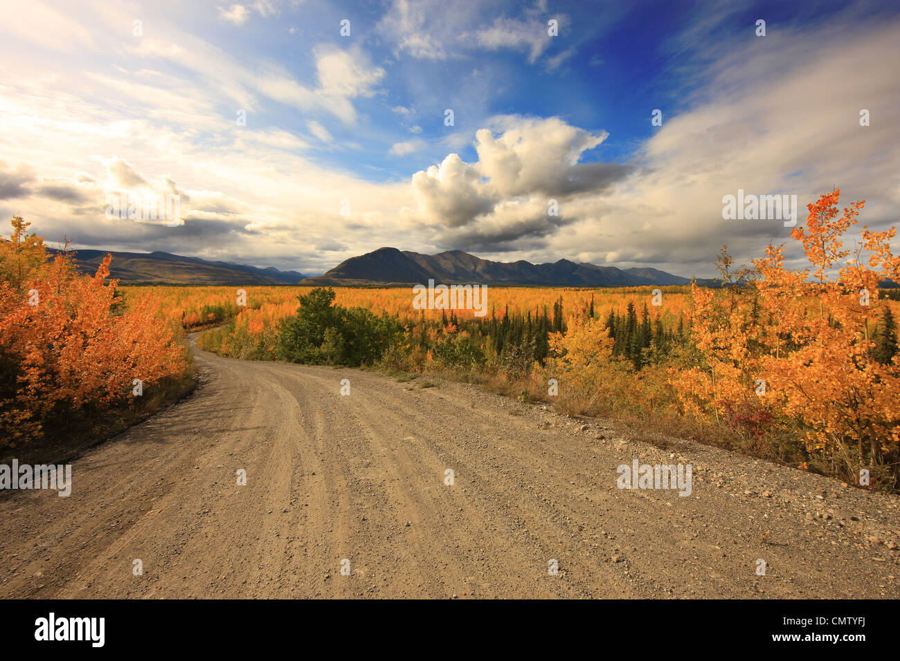 South Canol Road in autumn, Yukon Stock Photo - Alamy