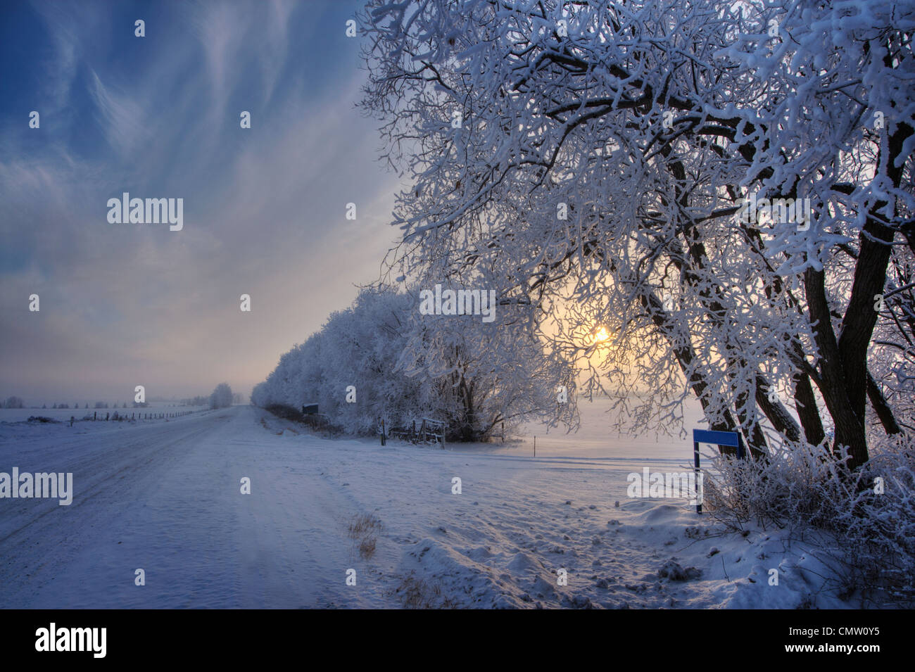 Snowy country road in rural Alberta Stock Photo - Alamy