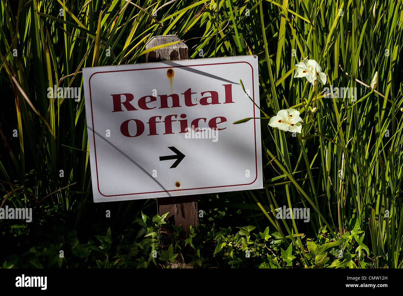 Rental office signs at an apartment community in Camarillo California ...