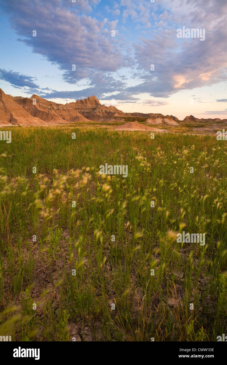 Badlands prairie in Badlands National Park, South Dakota, USA. summer ...