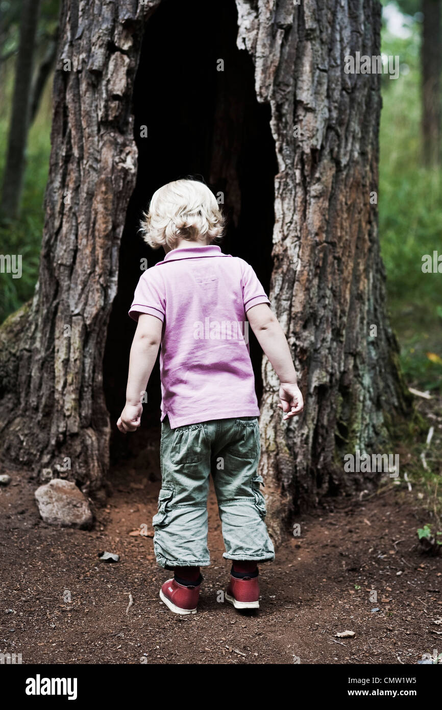 Tree Of Learning High Resolution Stock Photography and Images - Alamy