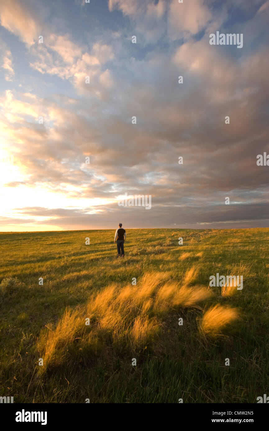 Man Standing in the Prairies at Dawn, Saskatchewan Stock Photo - Alamy