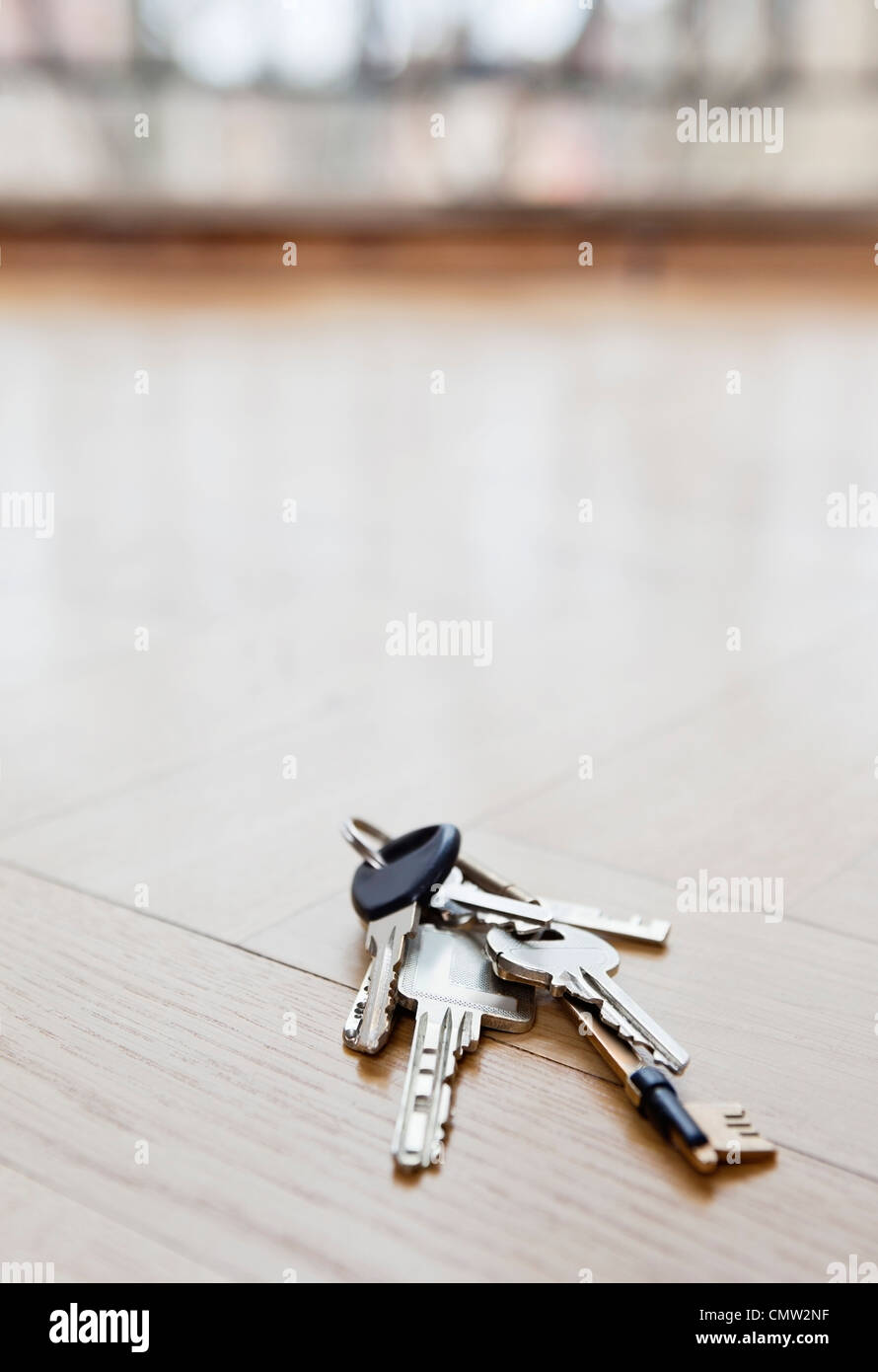 Bunch of keys lying on floor Stock Photo - Alamy