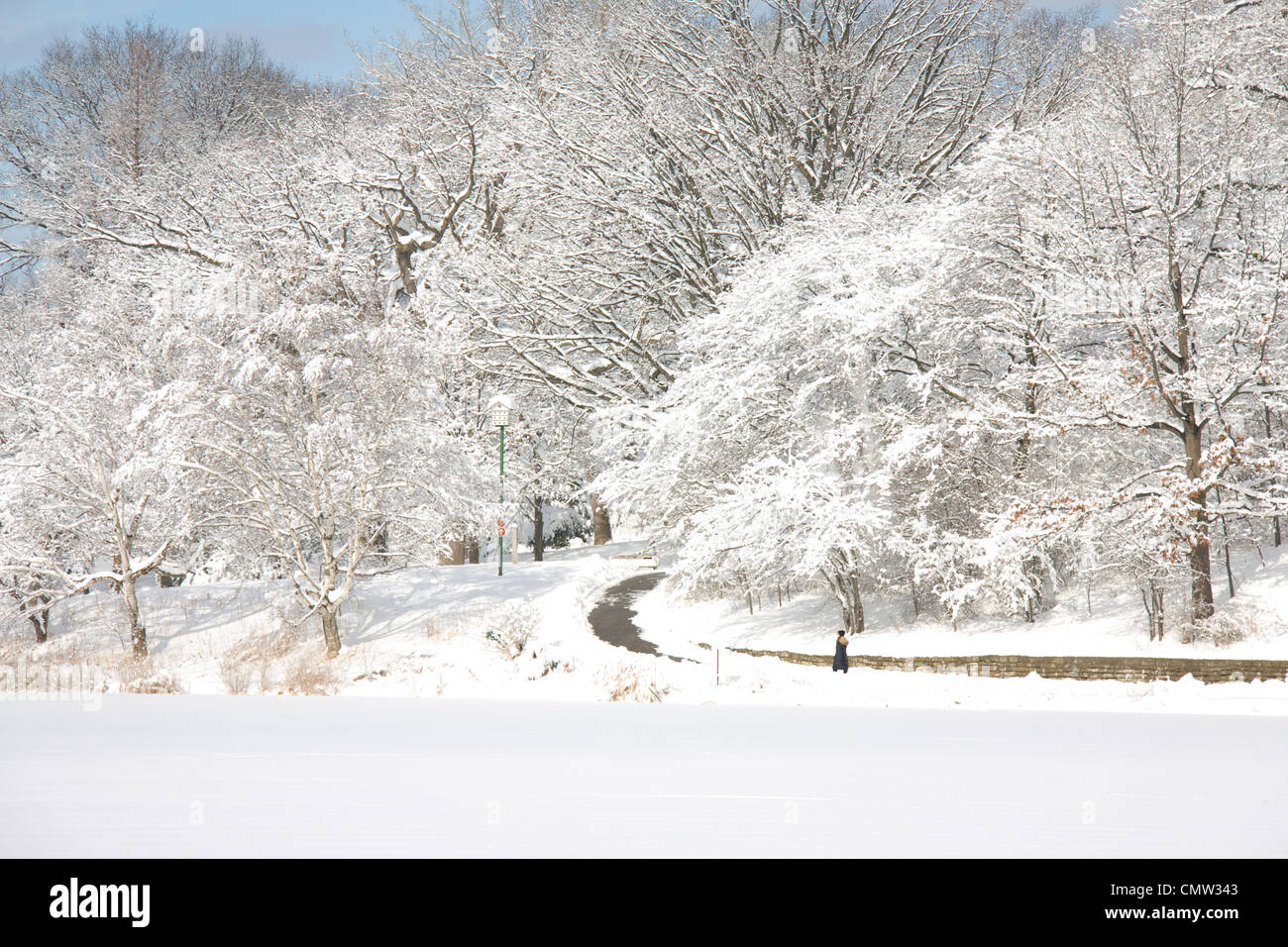 Winter in high park toronto hi-res stock photography and images - Alamy