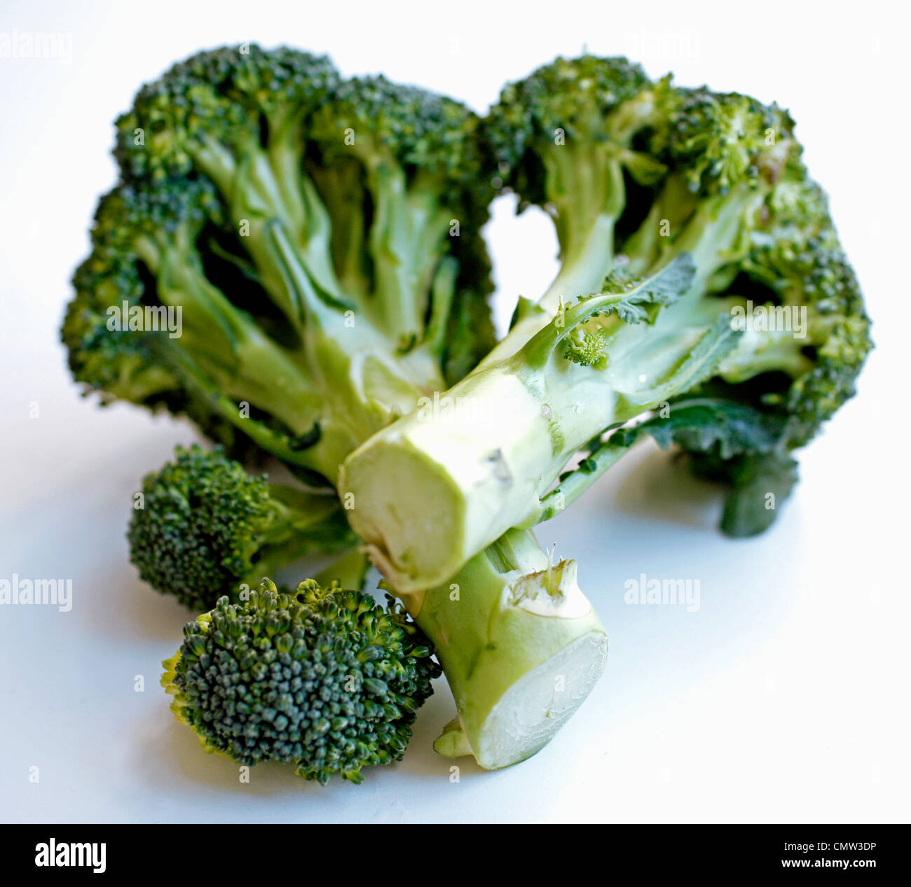 Broccoli studio white background hi-res stock photography and images ...