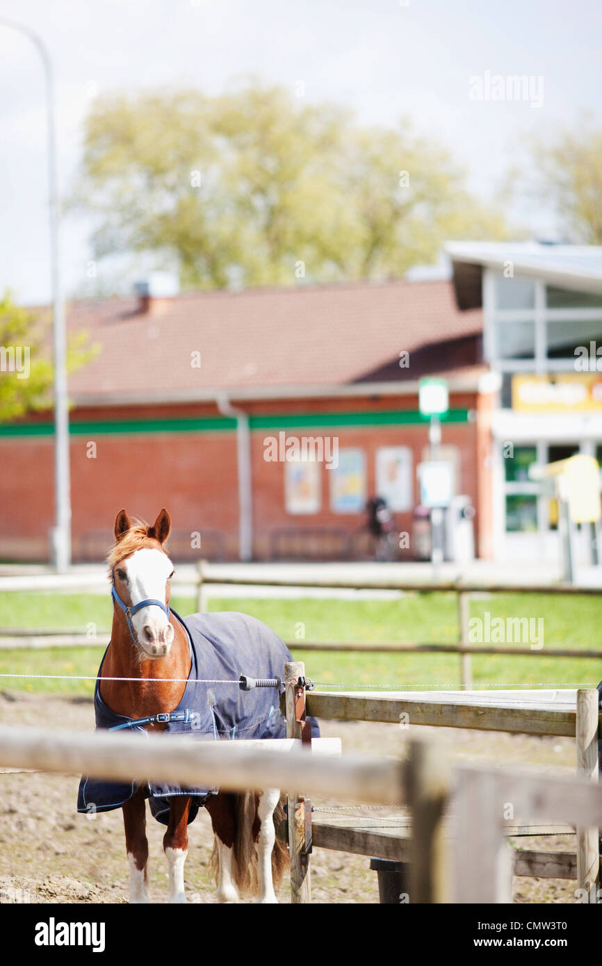 Paddock building hi-res stock photography and images - Alamy
