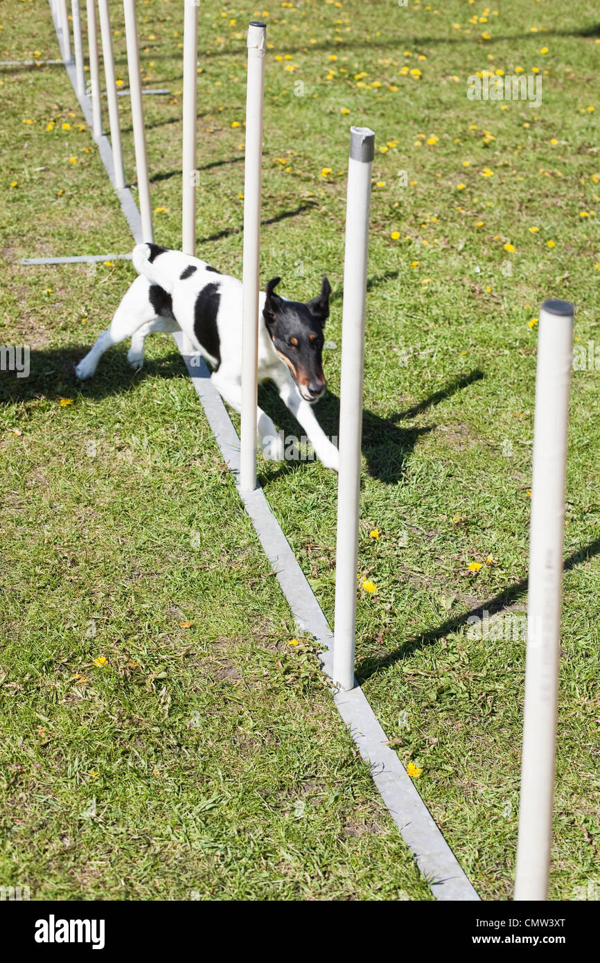 Weave through poles hi-res stock photography and images - Alamy