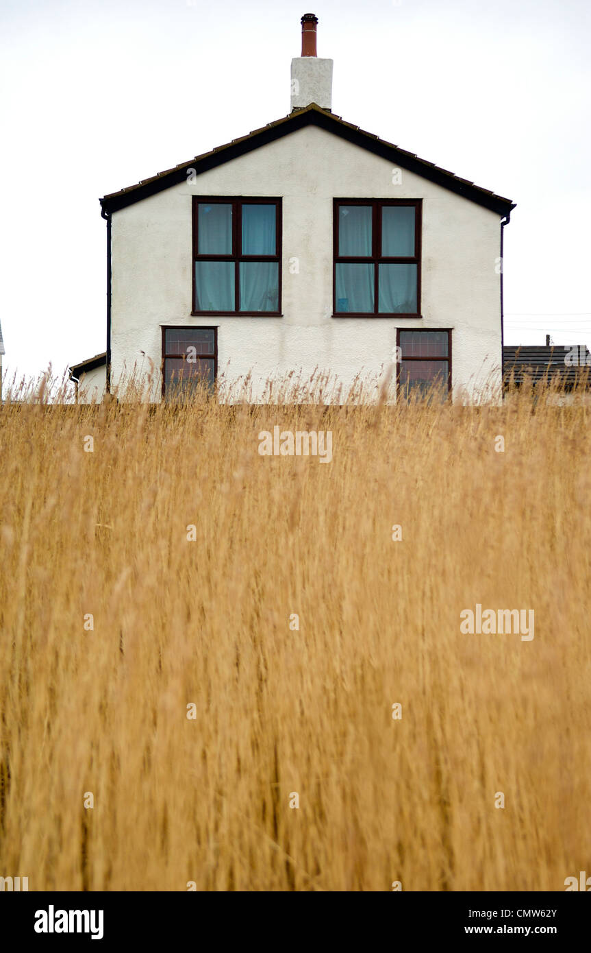 Symmetrical house in front of field of long grass Stock Photo - Alamy