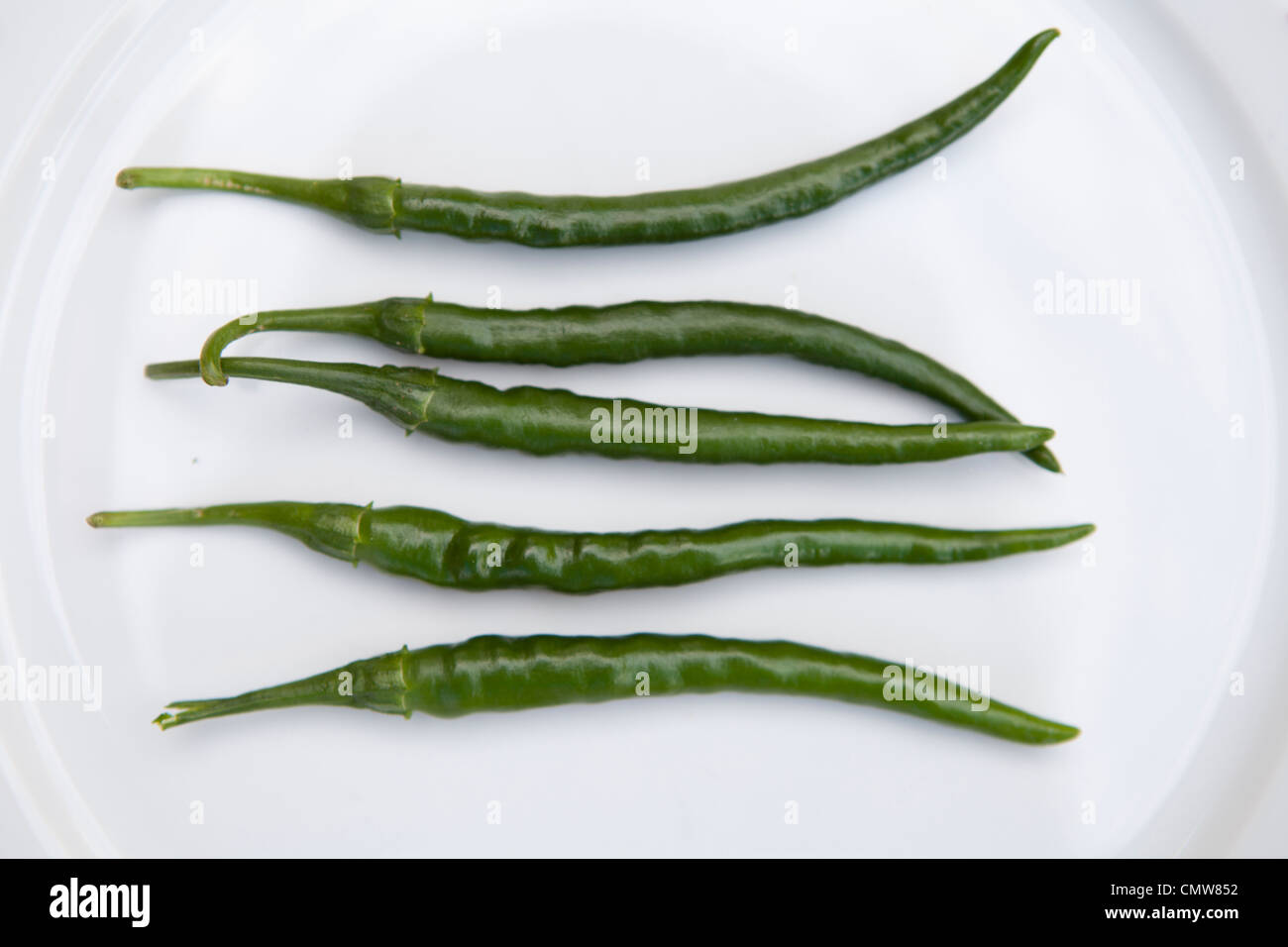 Muted green color hi-res stock photography and images - Alamy