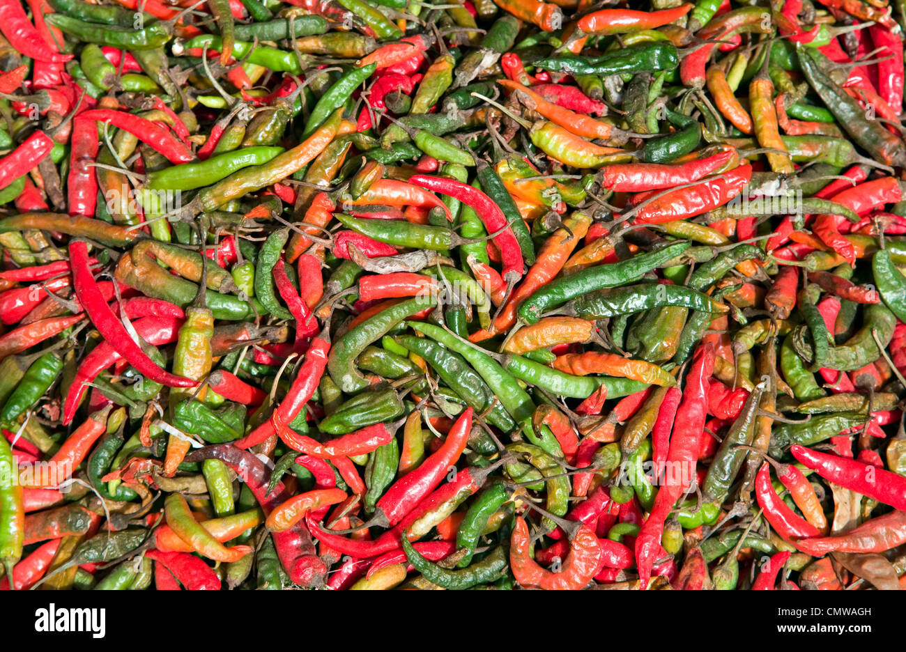 Heap fresh green chilies hi-res stock photography and images - Alamy